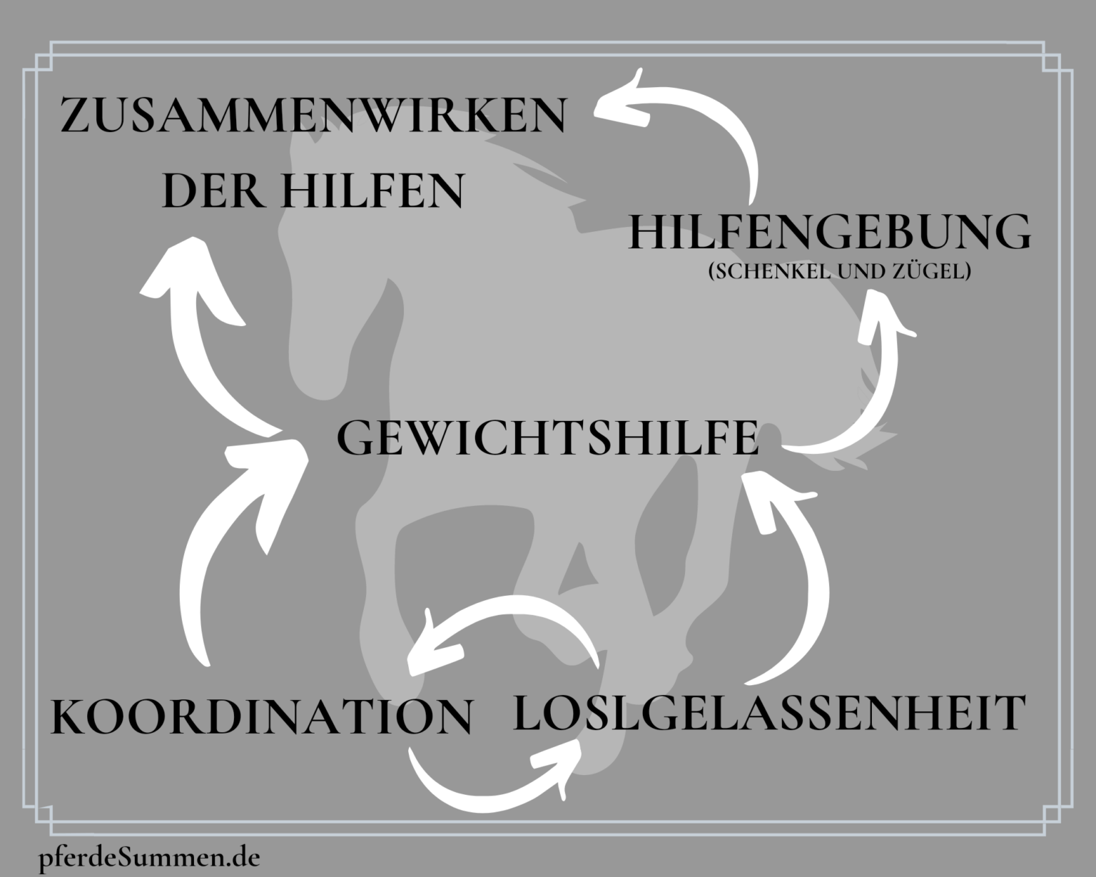 Der Ausbildungsweg des Reiters - Fit am Pferd